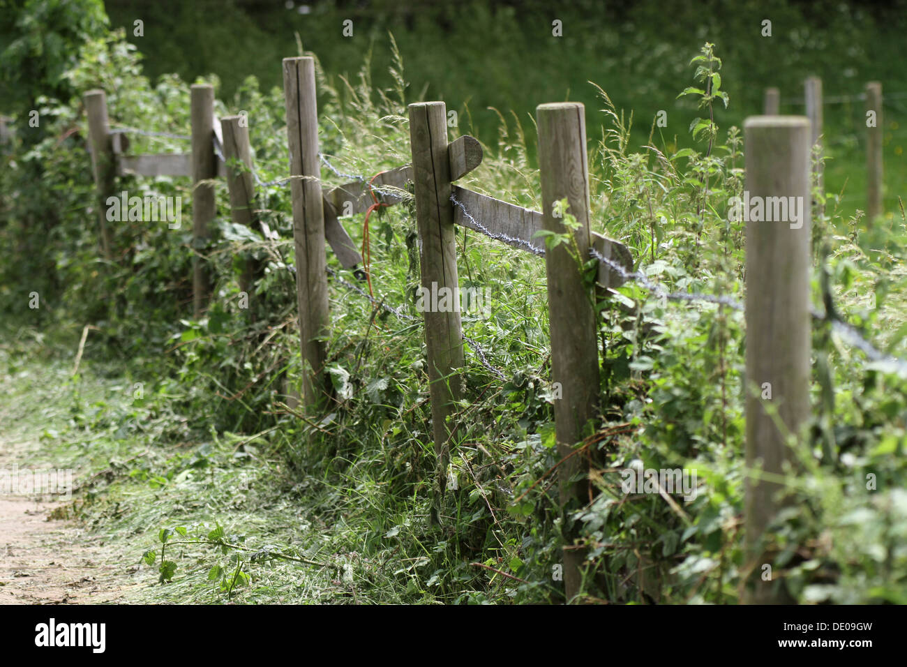 Fence outlining a pathway Stock Photo - Alamy