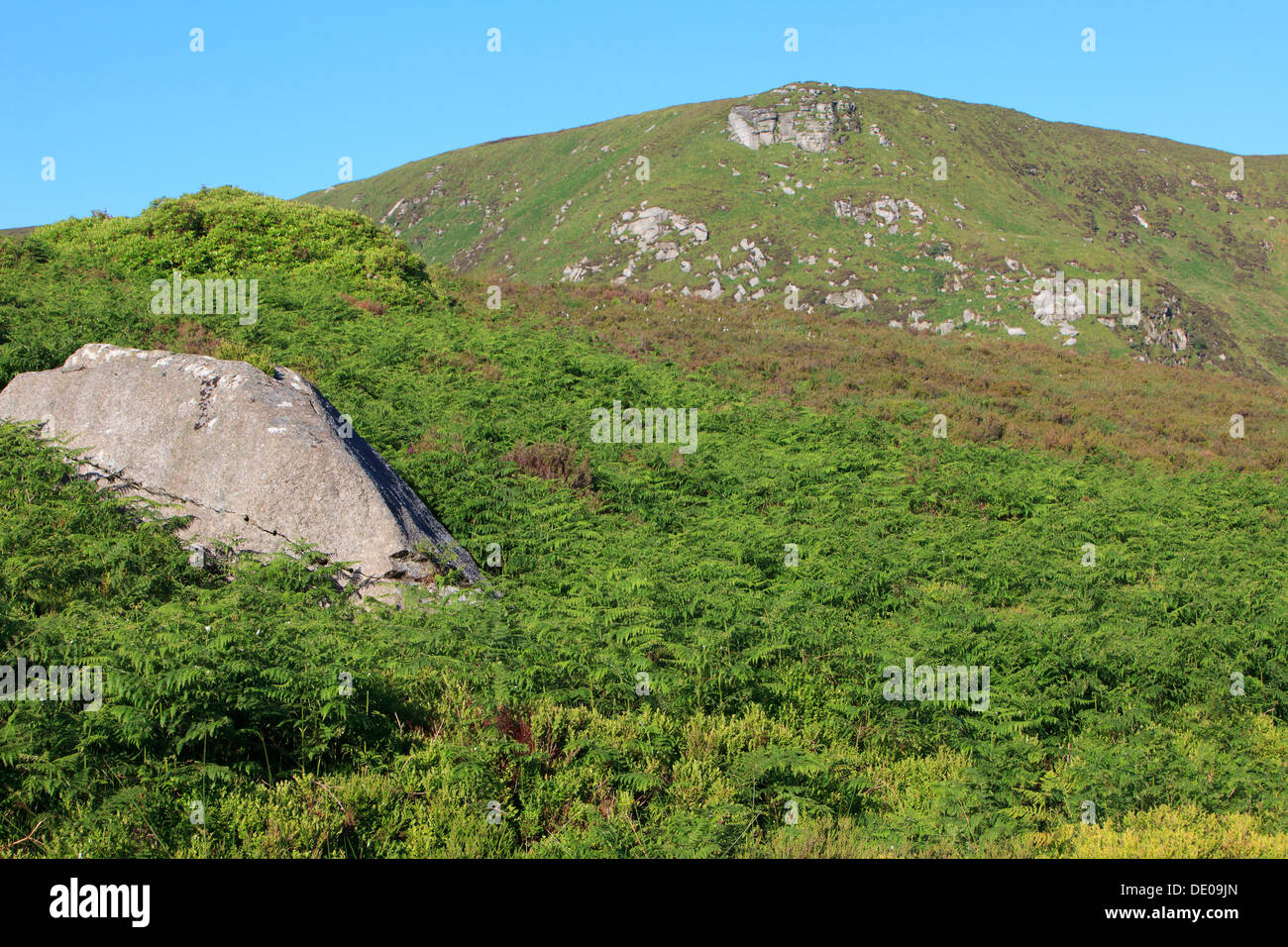 The Wicklow Mountains in Ireland Stock Photo - Alamy