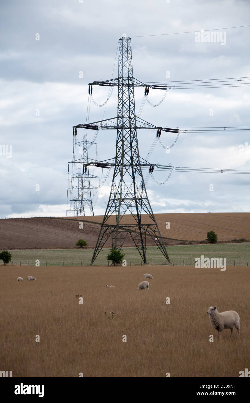 Electricity pylons in the Oxfordshire Countryside Stock Photo - Alamy