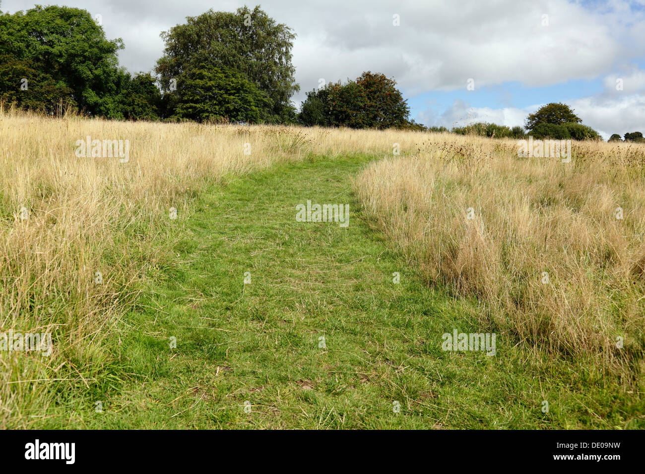 Cut through path hi-res stock photography and images - Alamy