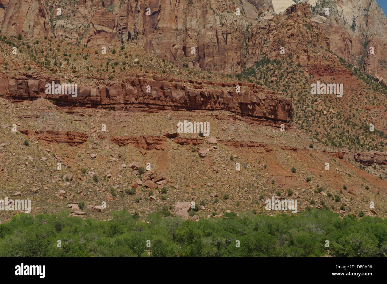 Red Moenave Formation cliffs and scree fans above green trees valley ...