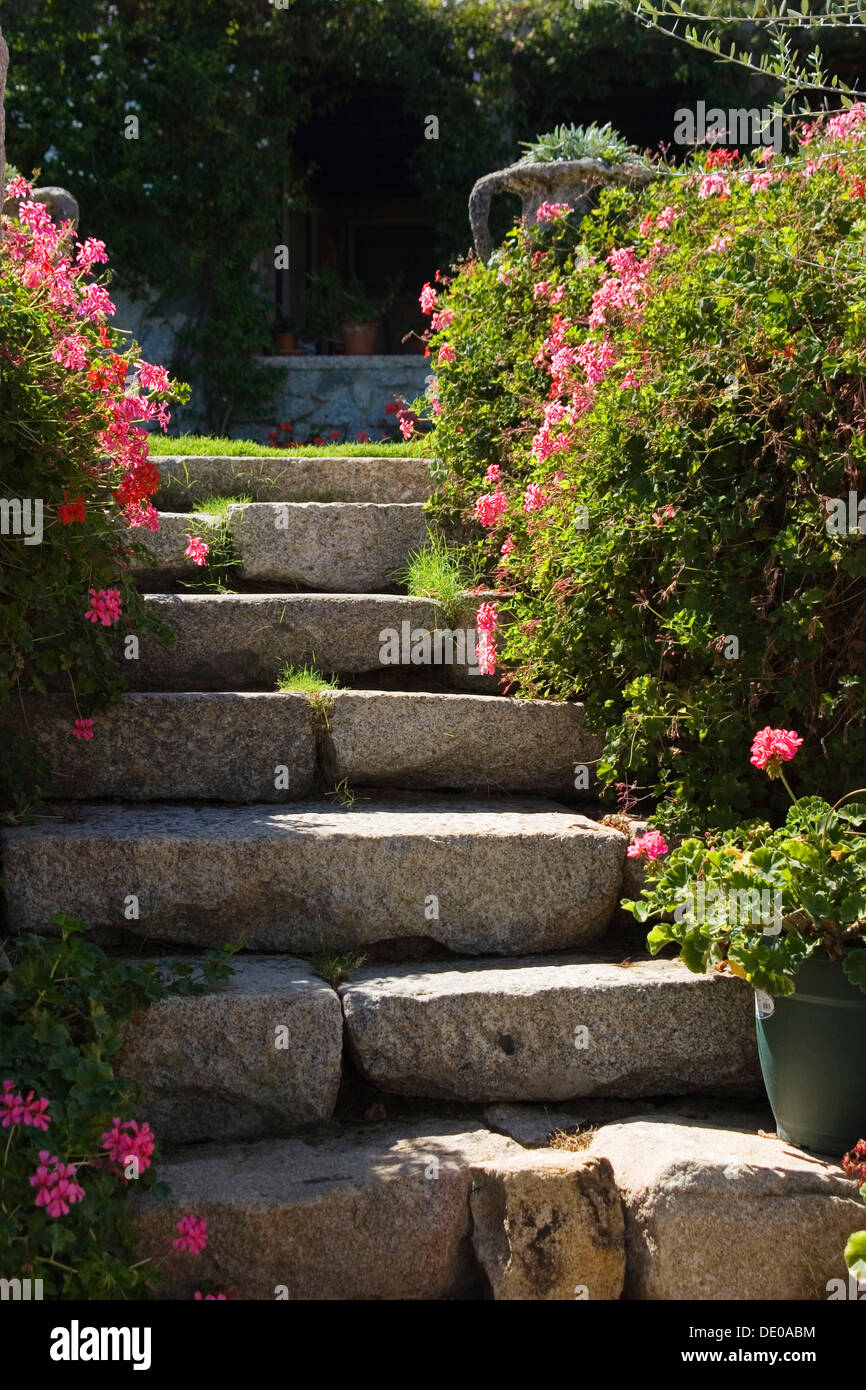 Garden Stone Steps High Resolution Stock Photography and Images - Alamy