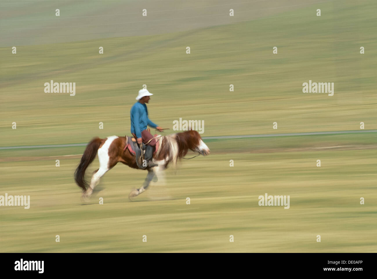 Man galloping a horse on the grasslands near Ulan Bator, Mongolia Stock ...