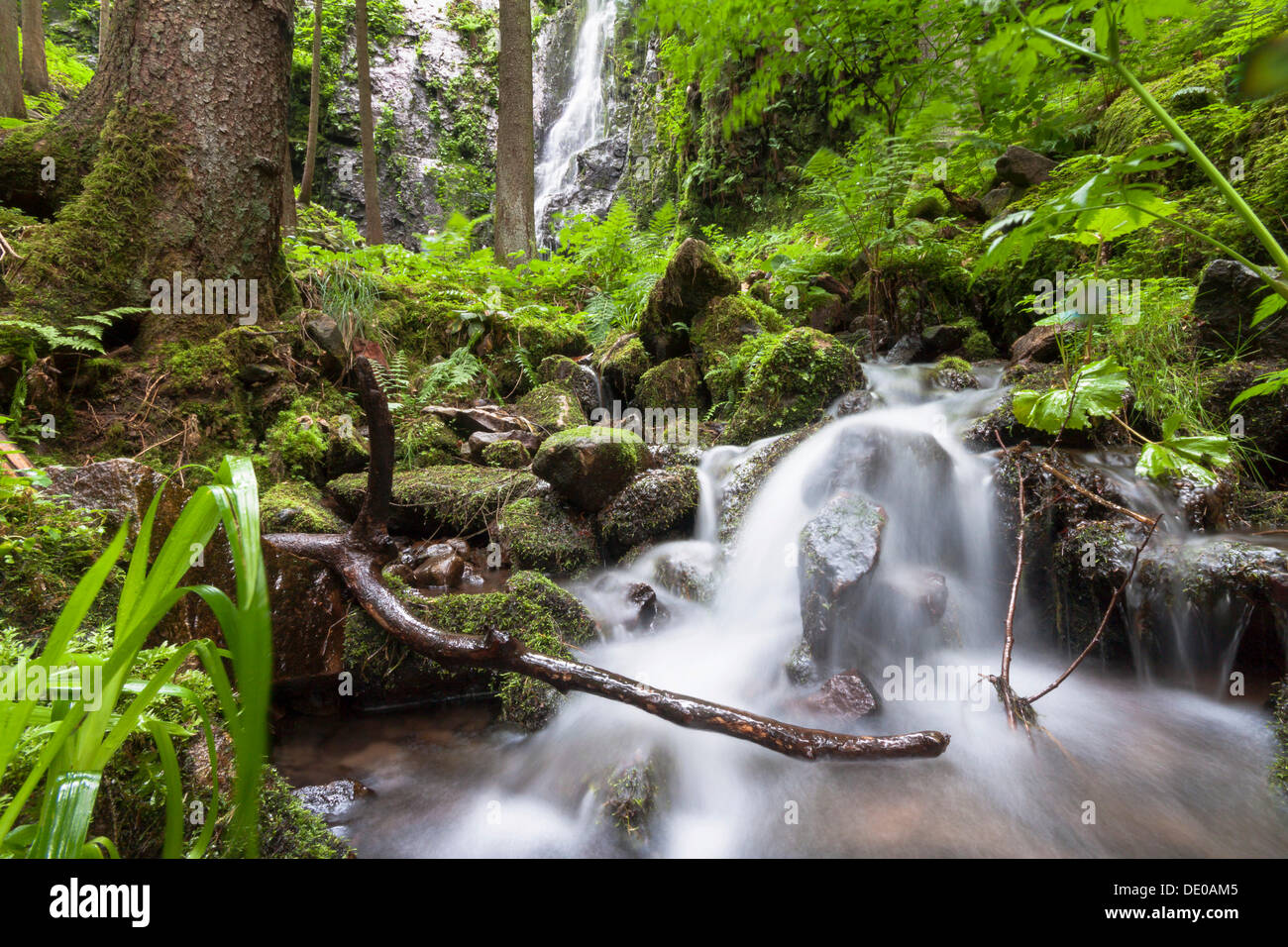 Burgbach waterfalls hi-res stock photography and images - Alamy