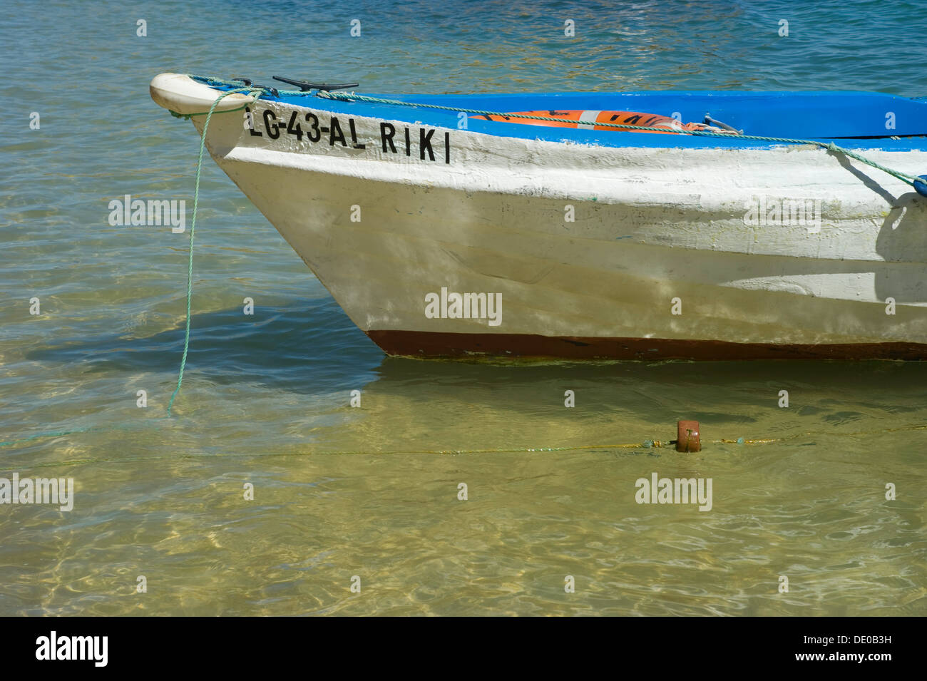 A small motorized dinghy floating in shallow water on the shore in the ...