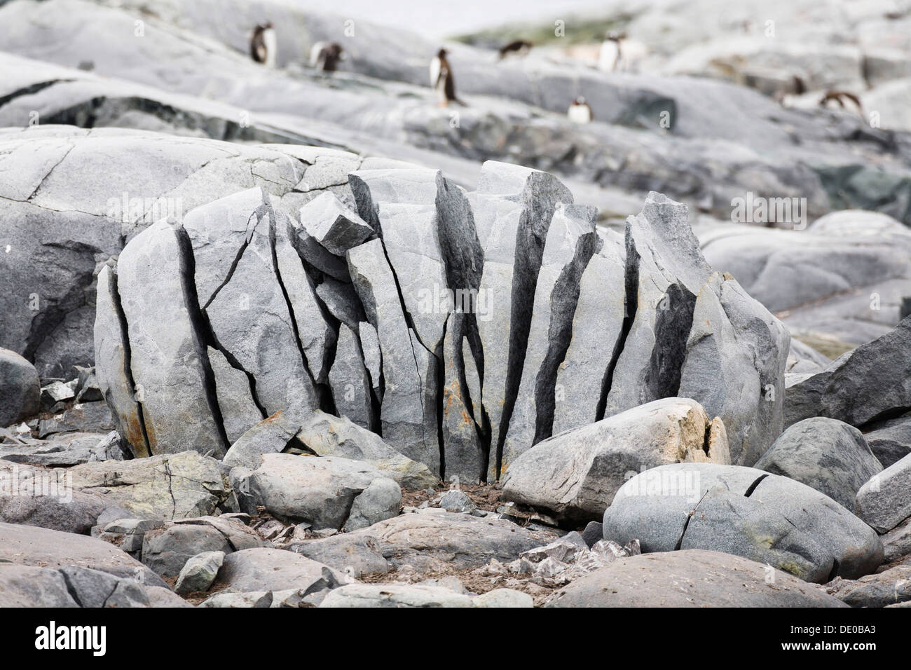 Frost shattered rock hi-res stock photography and images - Alamy