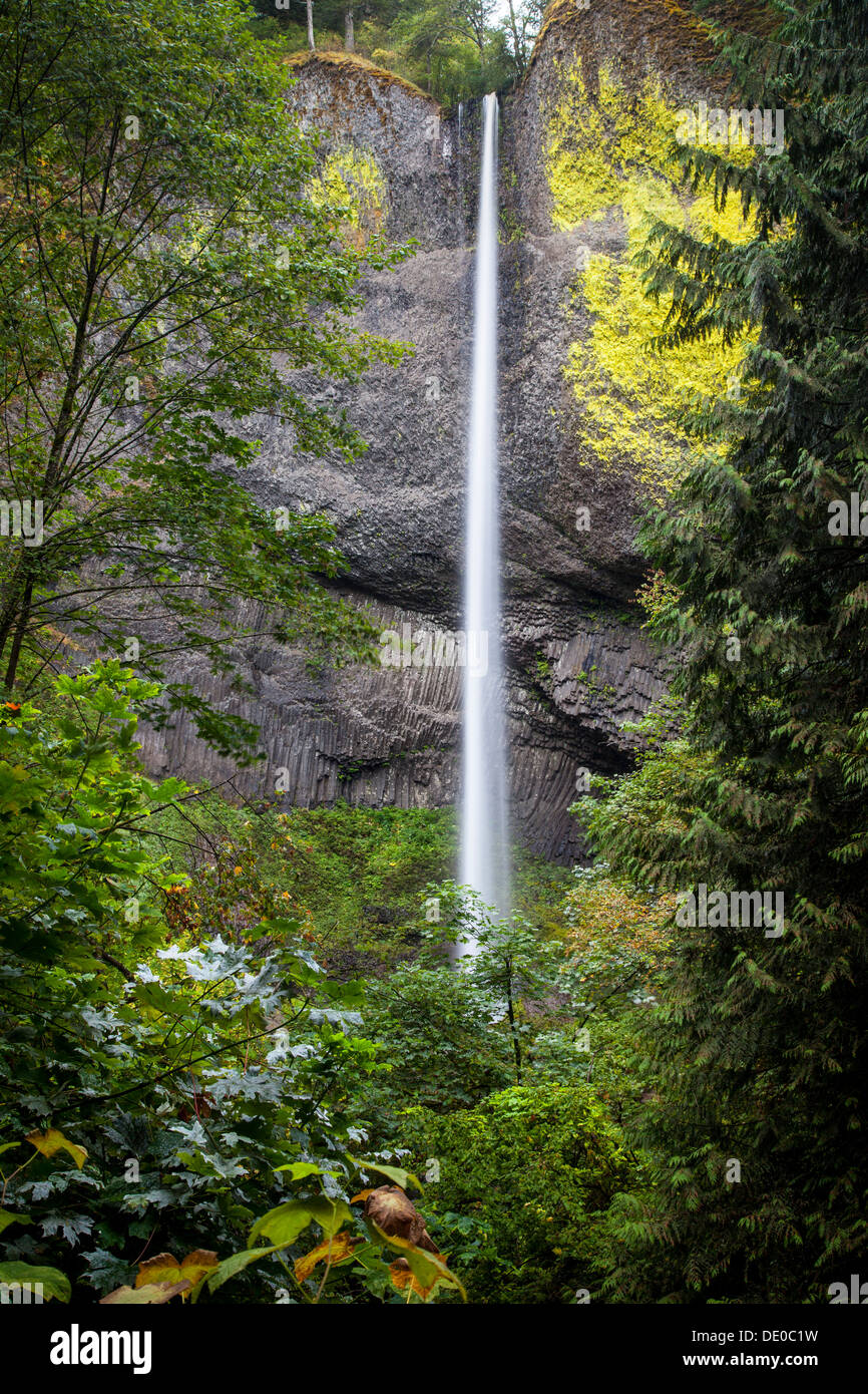 Latourell Falls in Guy W Talbot State Park in the Columbia River Gorge ...