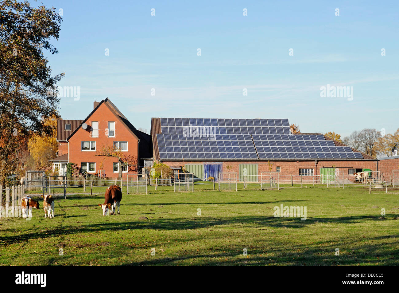 Solar power system hi-res stock photography and images - Alamy