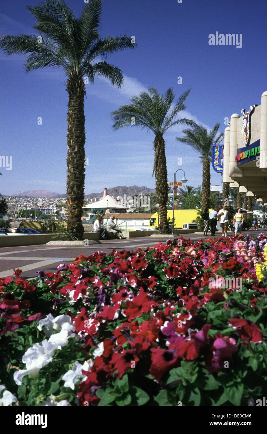The seacoast corniche promenade in Eilat city Israel Stock Photo - Alamy