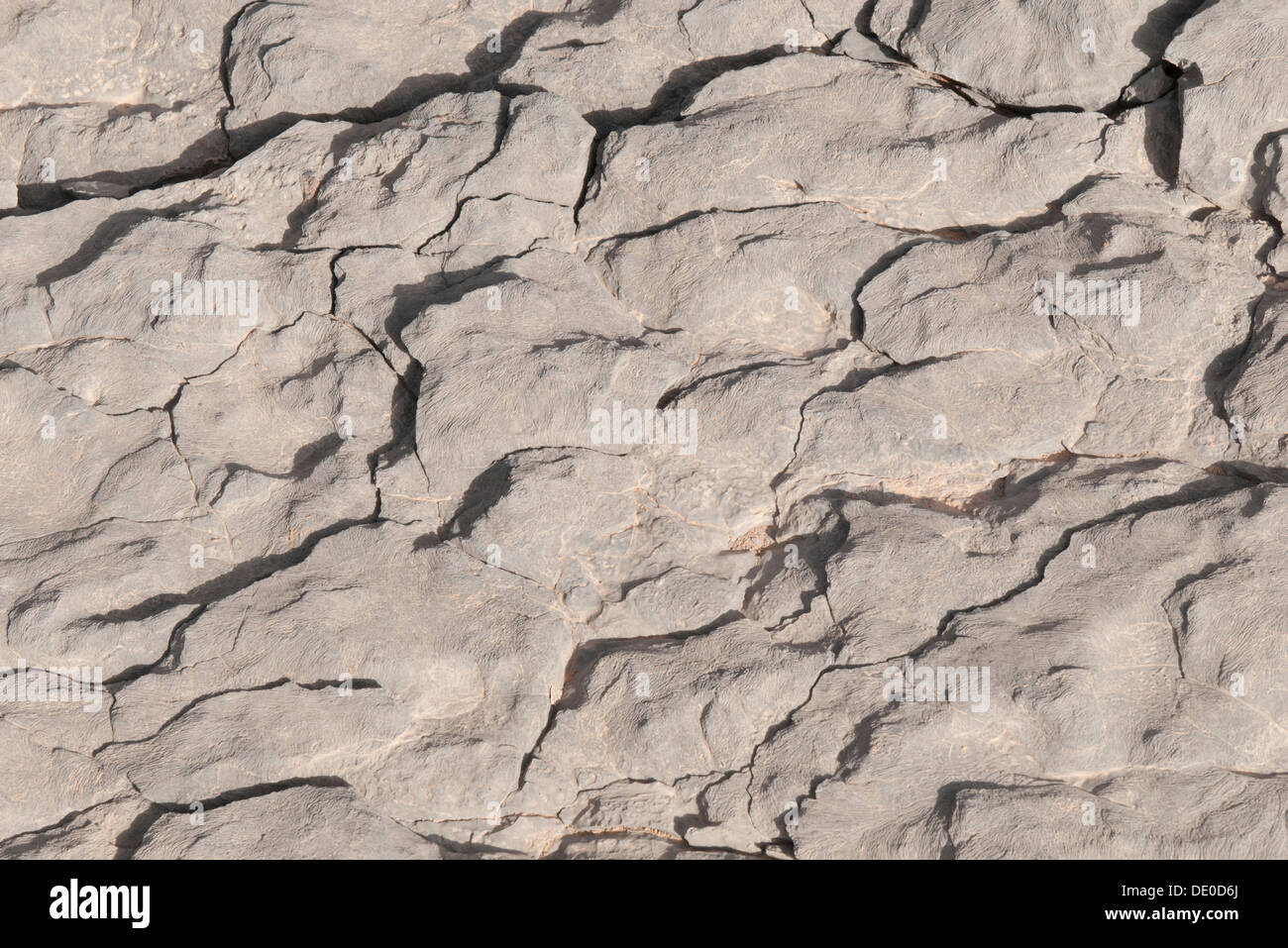 Desert ground, close-up Stock Photo - Alamy