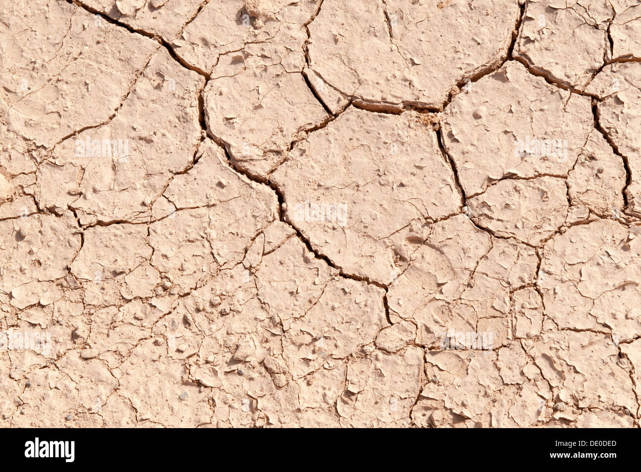 Desert ground close up hi-res stock photography and images - Alamy