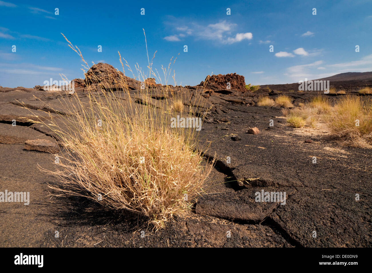 Volcanic depression hi-res stock photography and images - Alamy