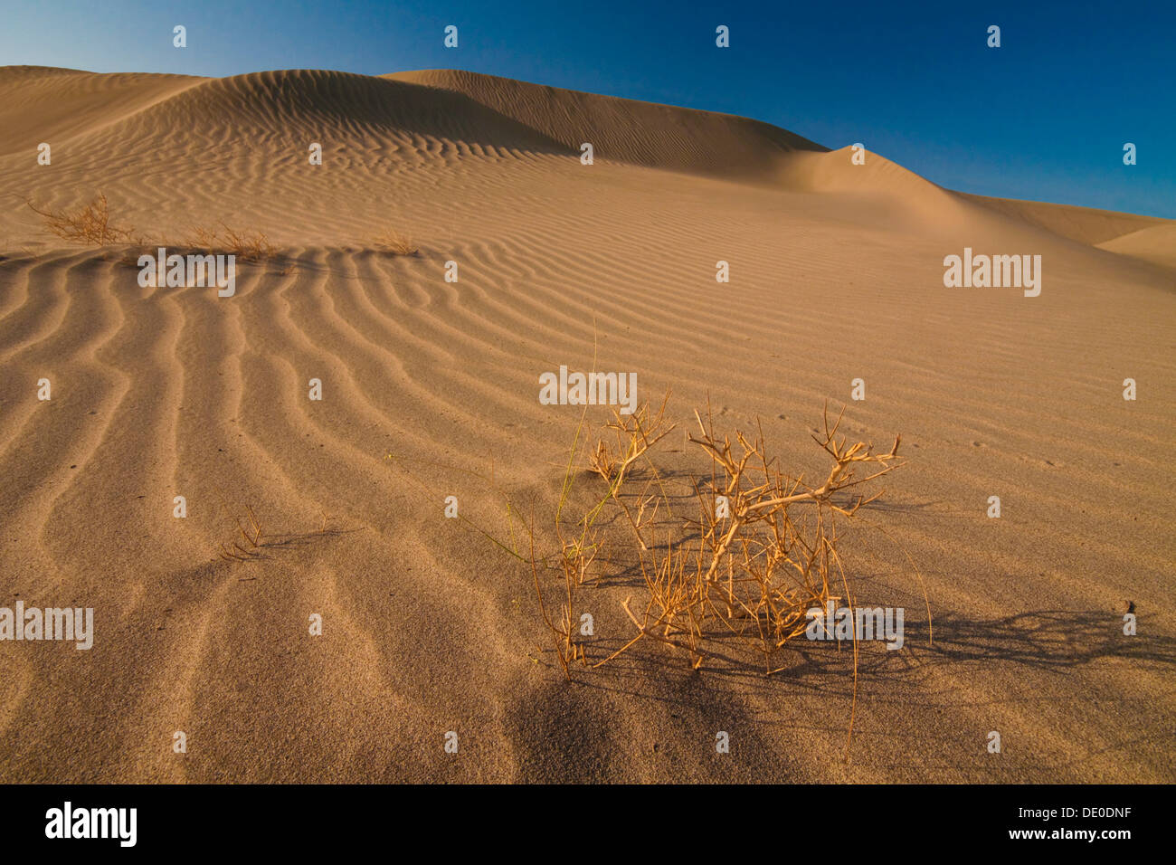 Desert landscape in the Danakil Depression Stock Photo - Alamy