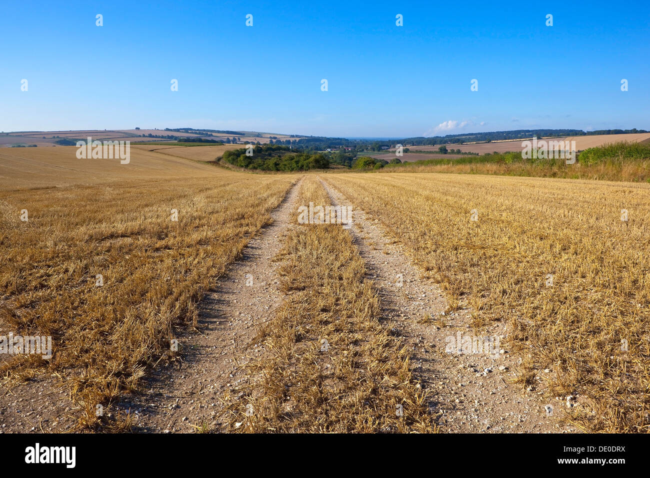 A dusty farm track descending through stubble fields towards the ...