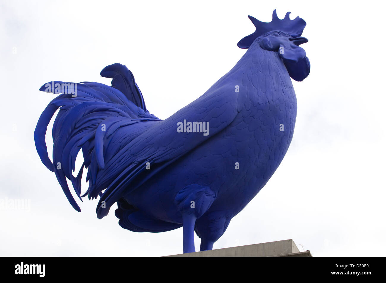 Hahn/Cock sculpture of a giant blue cockerel by the German artist ...