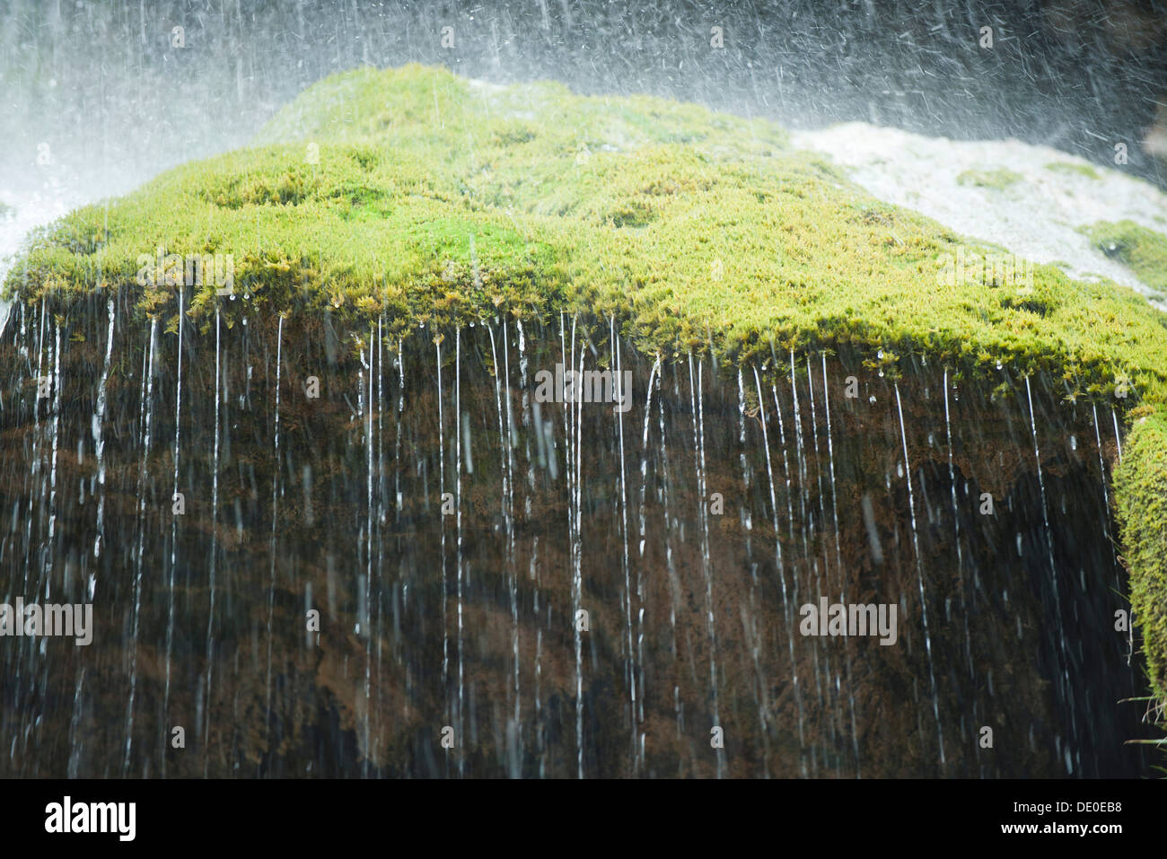 Water Dripping Rock High Resolution Stock Photography and Images - Alamy