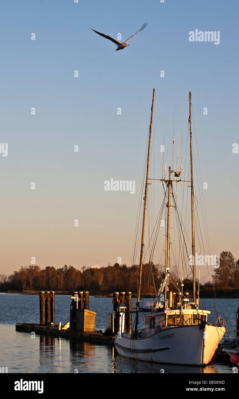 Sunset on the Steveston Village harbour Stock Photo - Alamy