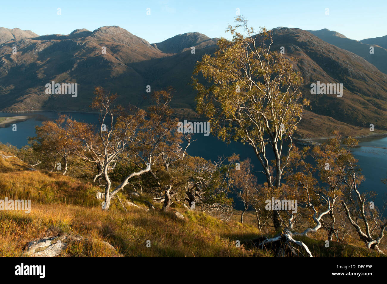 The mountains of eastern Knoydart over Loch Hourn, from the slopes of ...