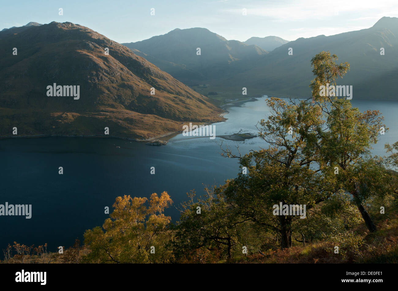 Luinne Bheinn and Glen Barrisdale, Knoydart, over Loch Hourn, from ...