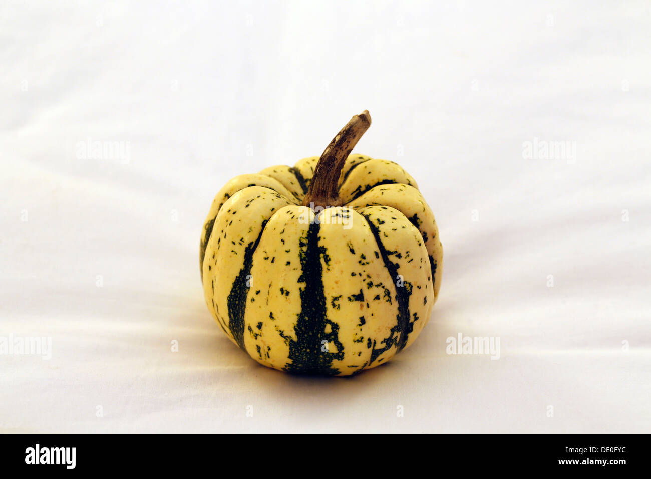 Decorative autumn object Cut Out Stock Images & Pictures - Alamy
