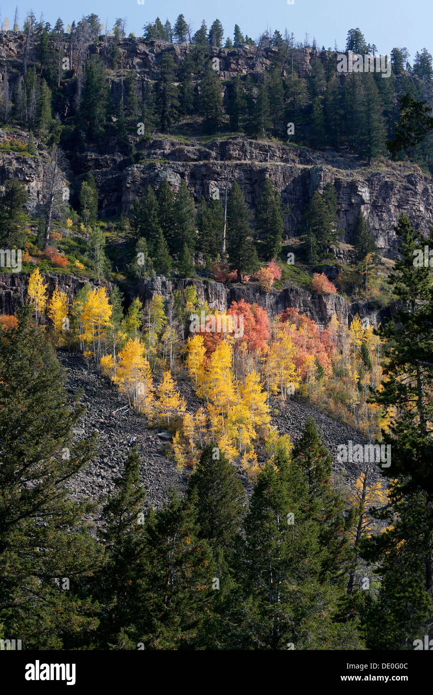 Landscape in fall, Utah, USA Stock Photo - Alamy