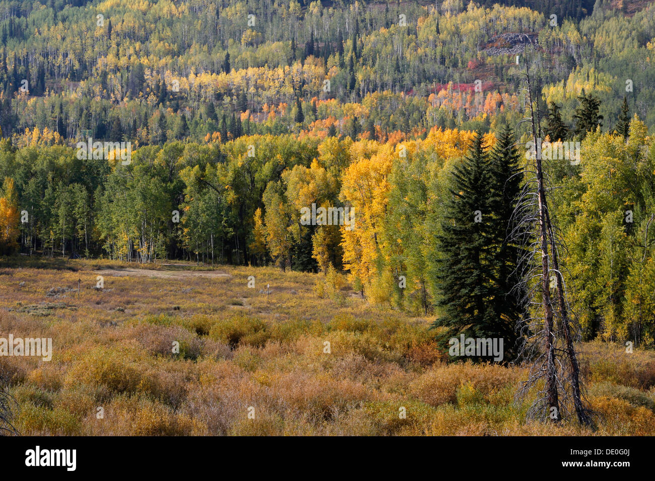 Landscape in fall hi-res stock photography and images - Alamy