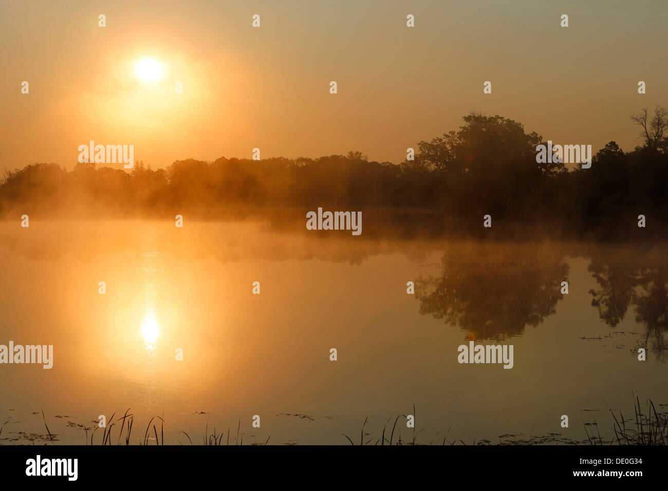 Sunrise, autumn fog over Big Rock Lake near Detroit Lakes, Minnesota ...