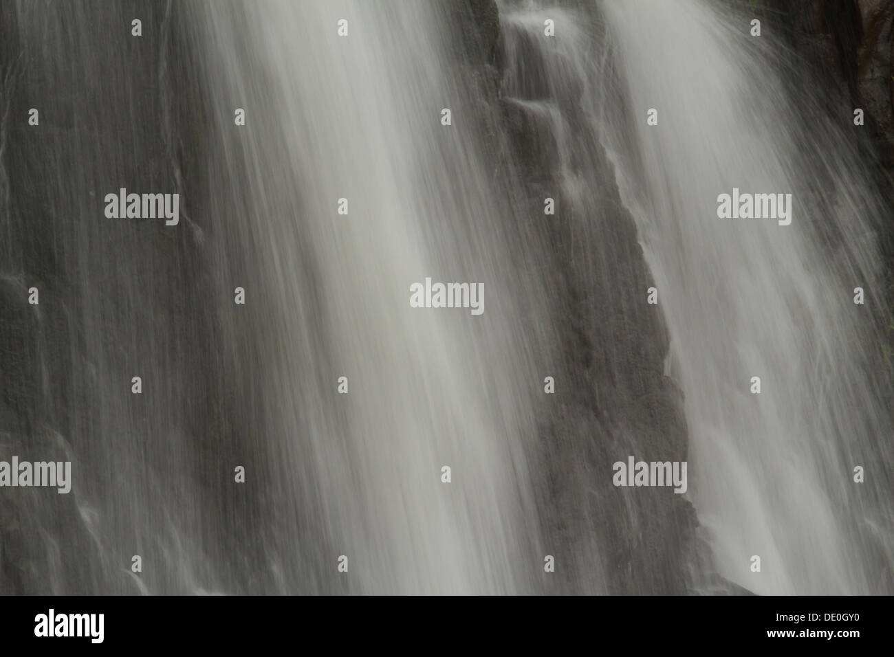 Aberdare national park hi-res stock photography and images - Alamy