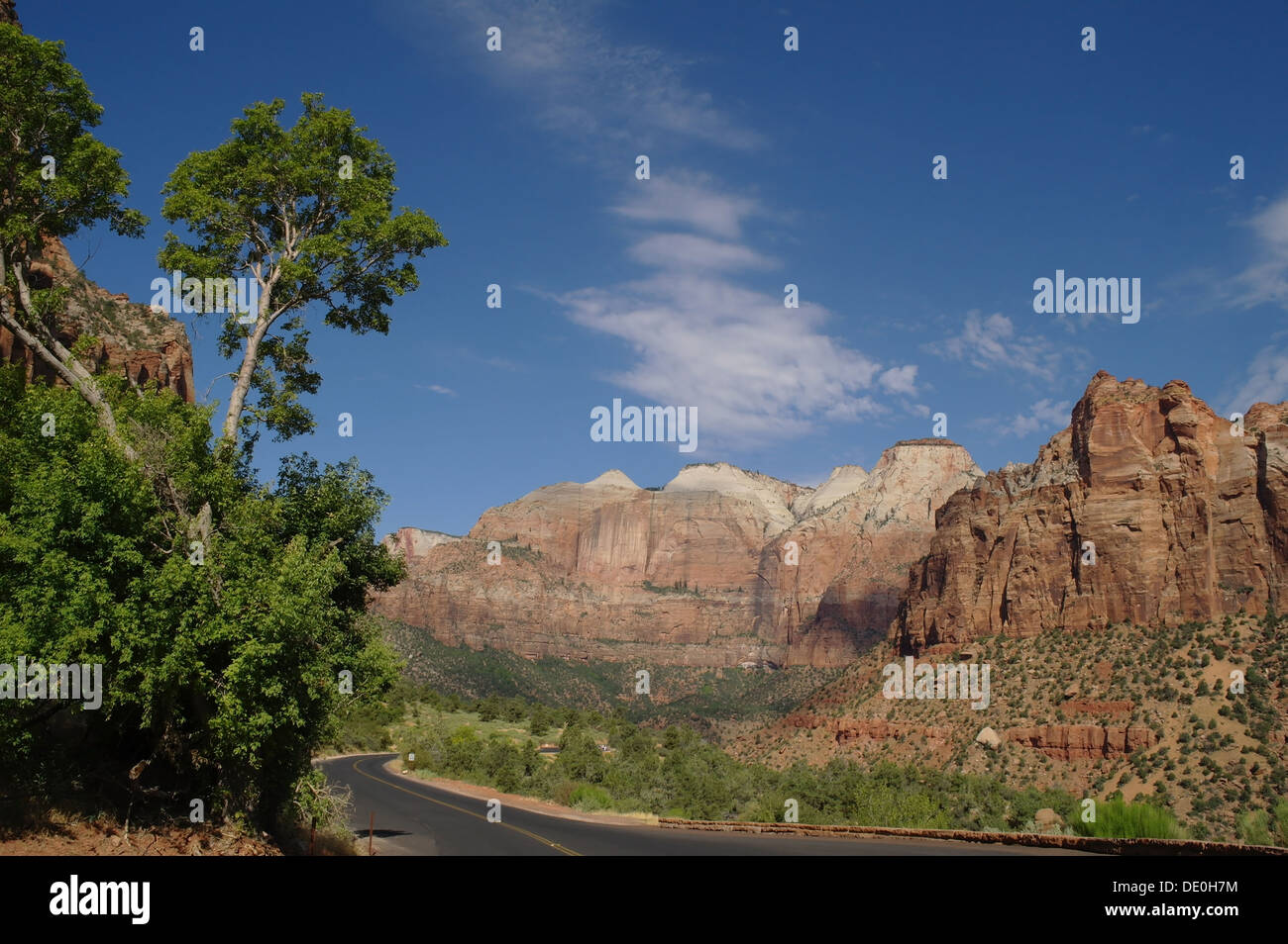 Blue sky view, to brown cliffs Mount Spry and Sentinel, green tree ...