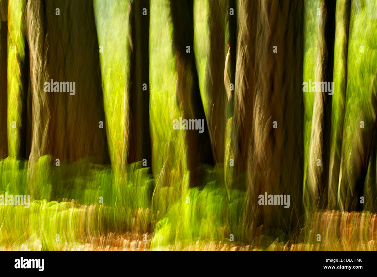 Langford british columbia hi-res stock photography and images - Alamy