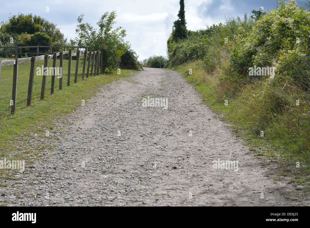 a country lane Stock Photo - Alamy