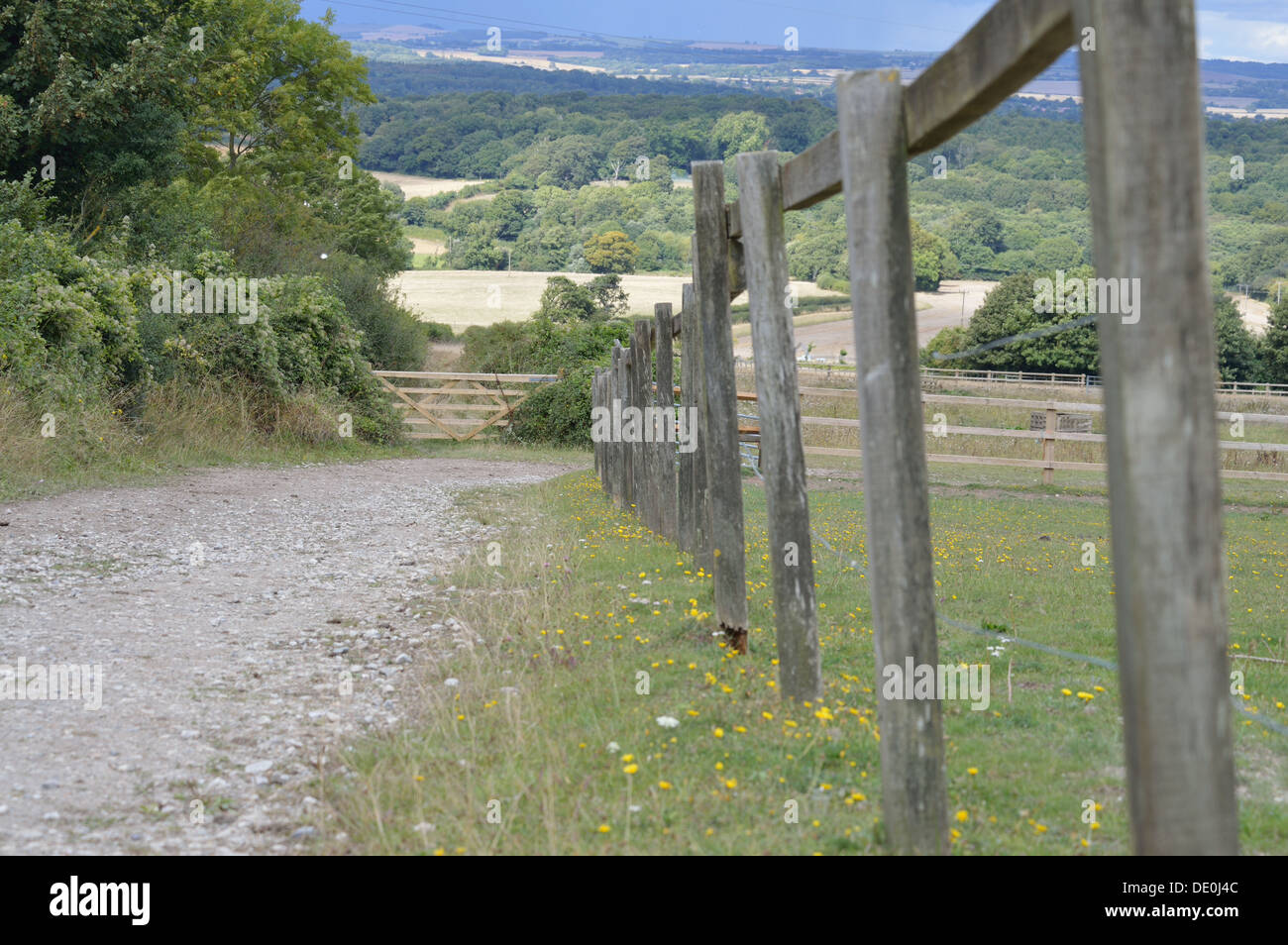 a country lane Stock Photo - Alamy