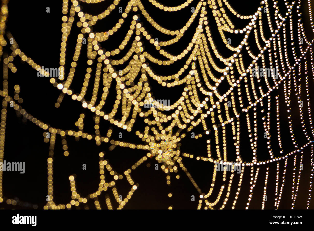 abstract background from a web shine in the sun Stock Photo - Alamy