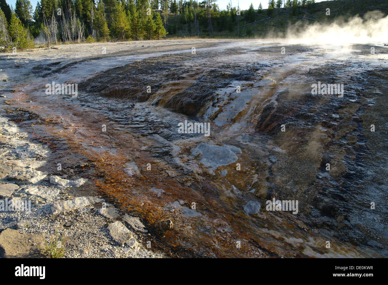 Link geyser hi-res stock photography and images - Alamy
