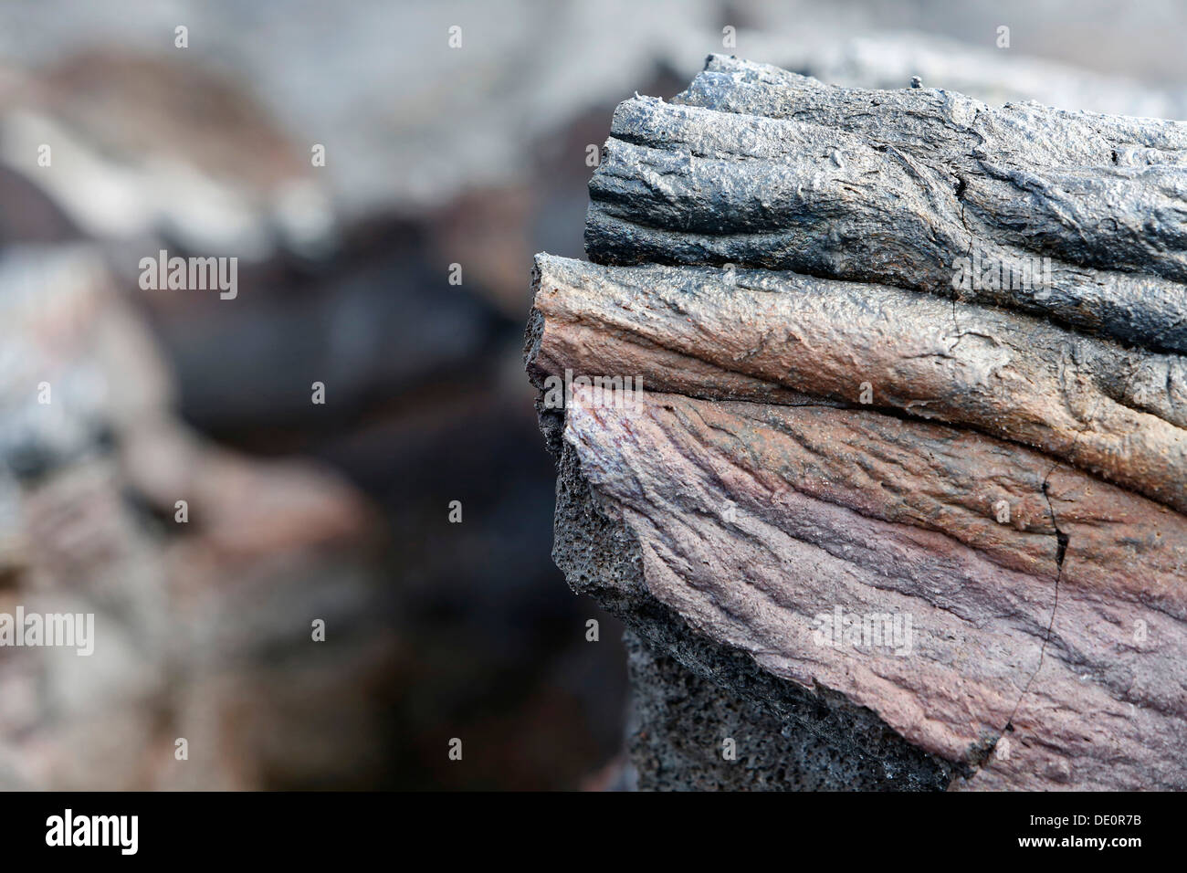 Pahoehoe lava, detail view, East Rift Zone, Kilauea volcano, Big Island ...