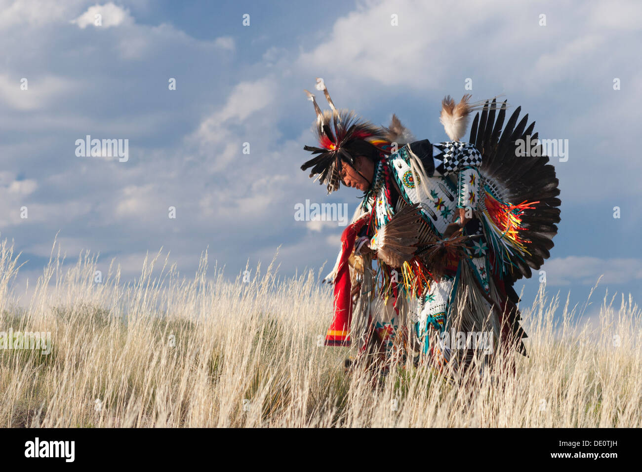 Native American man wearing traditional Cheyenne costume, dancing in ...