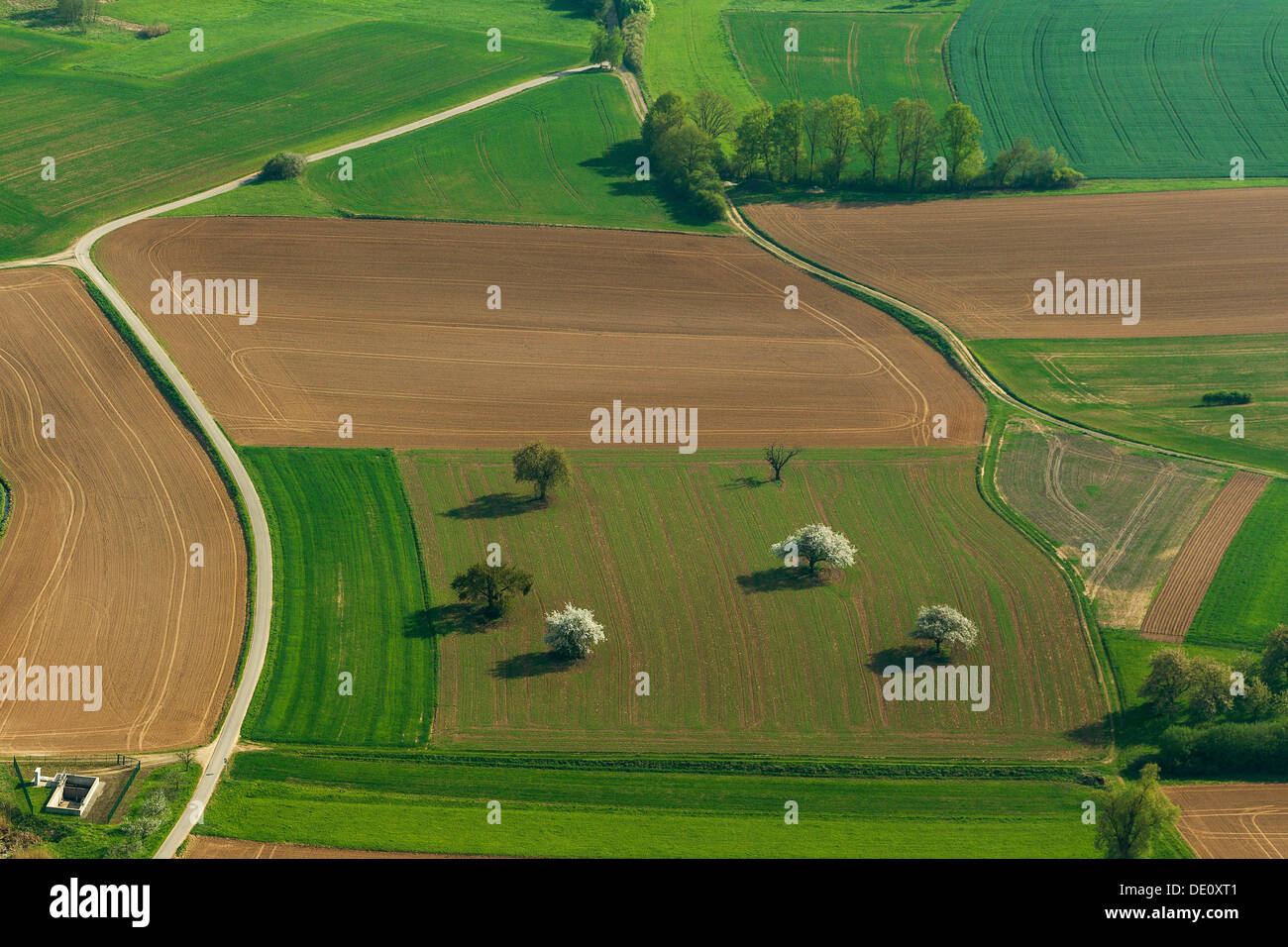 Spring photographs hi-res stock photography and images - Alamy