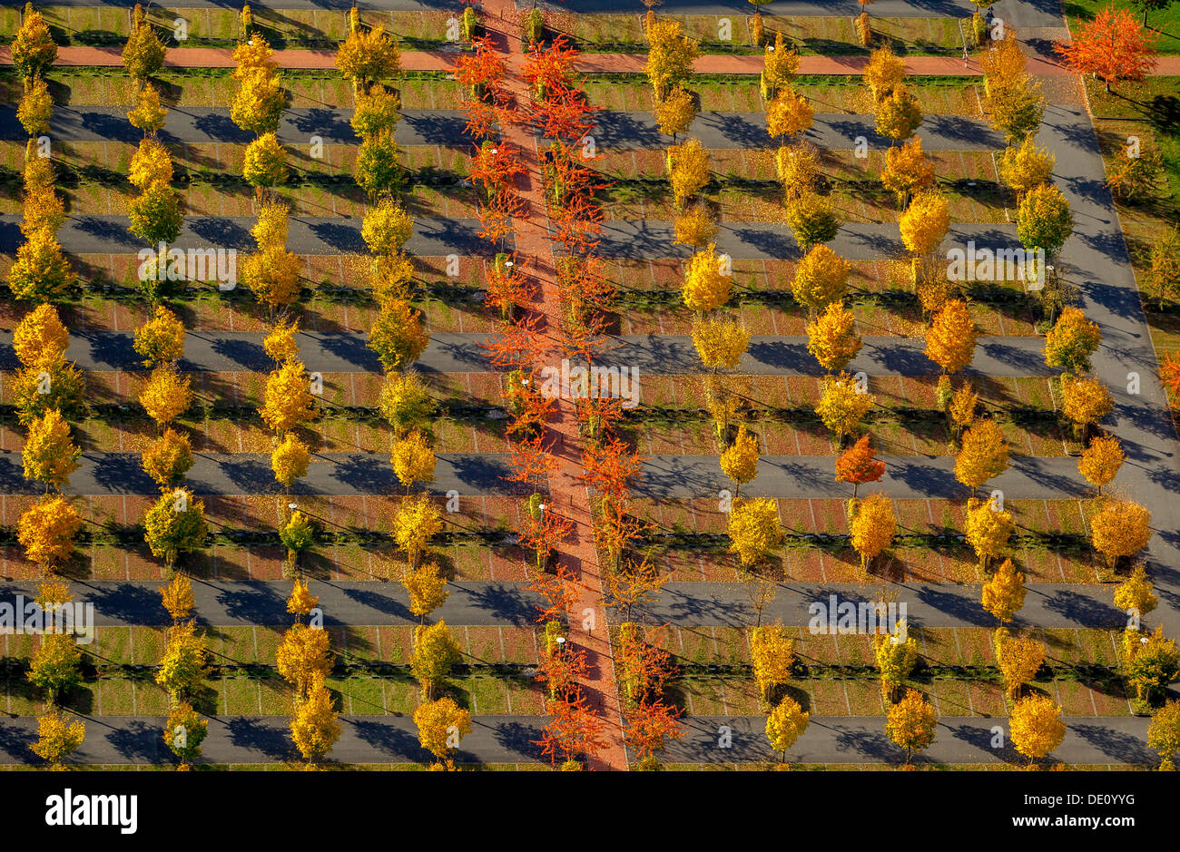 Aerial view, empty parking lot in autumn, Hamm, Ruhr area, North Rhine ...