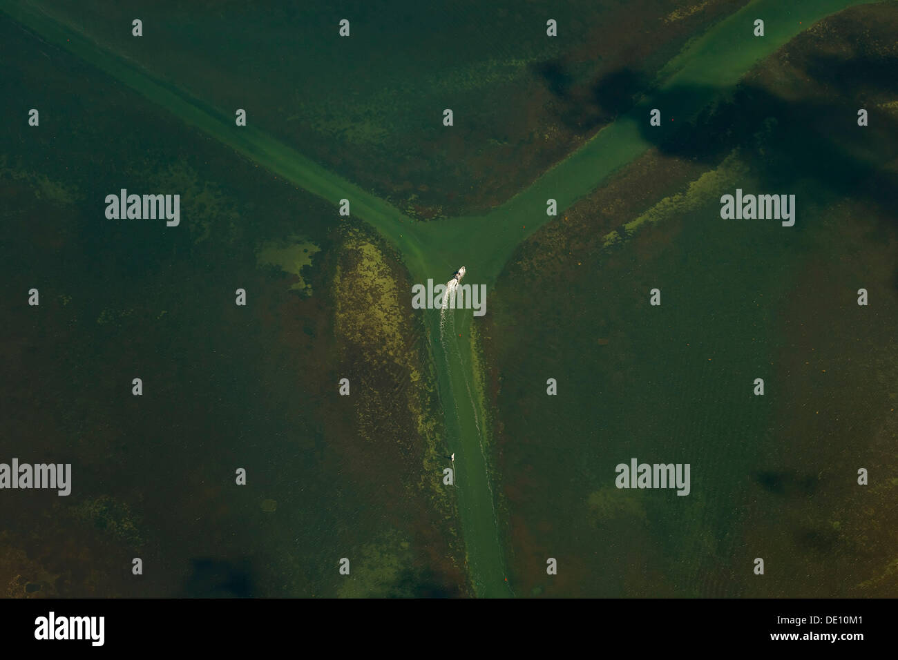 Aerial view, fork in the channel from Schaprode to Hiddensee with a ...