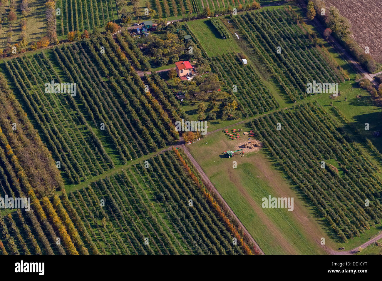 Aerial view of vineyard hi-res stock photography and images - Alamy