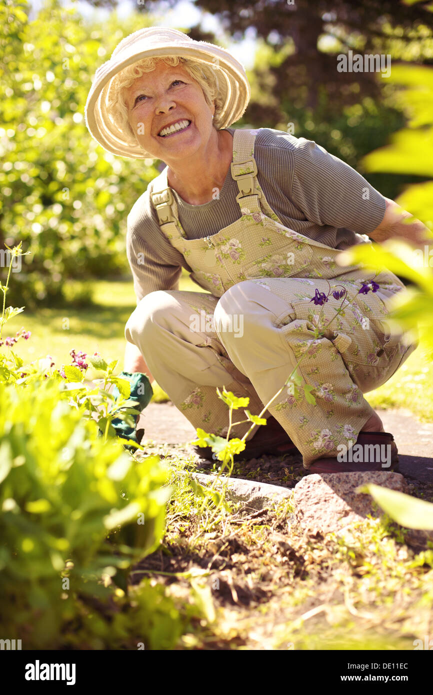 Senior woman happily working with plants in her garden - Old woman ... Senior woman happily working with plants in her garden - Old woman ...