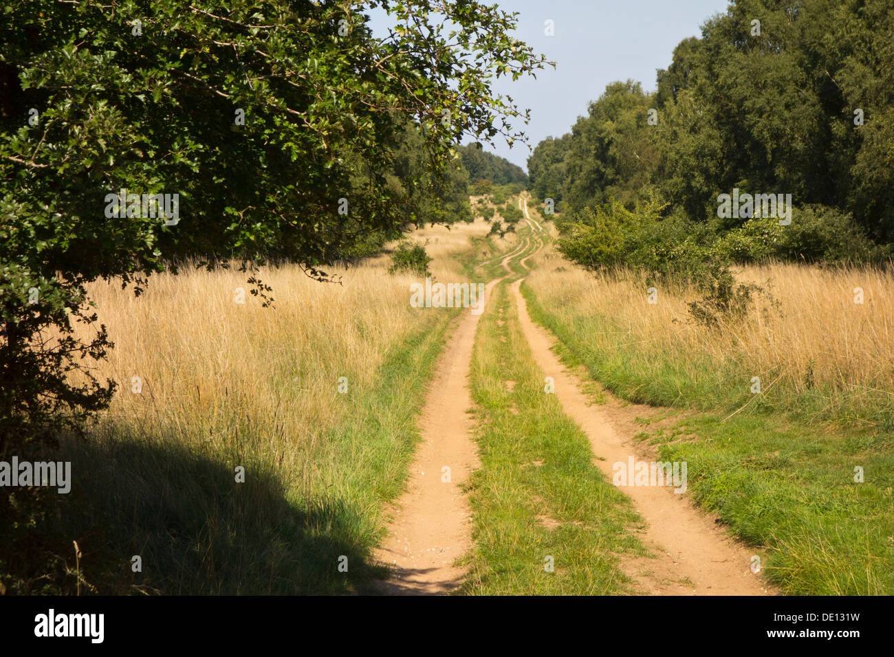 Icknield way suffolk hi-res stock photography and images - Alamy