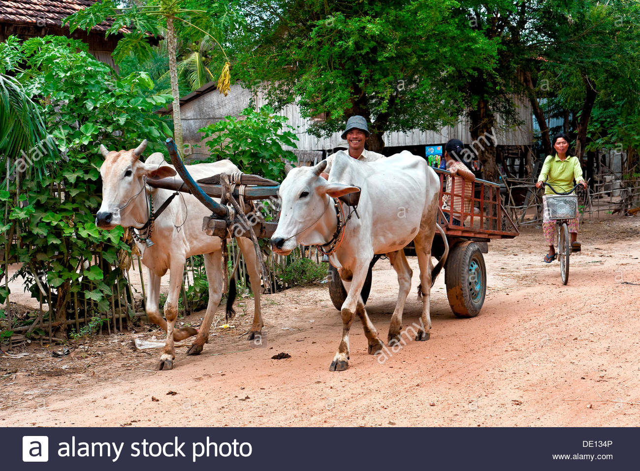 Ox Wagons Stock Photos & Ox Wagons Stock Images - Alamy
