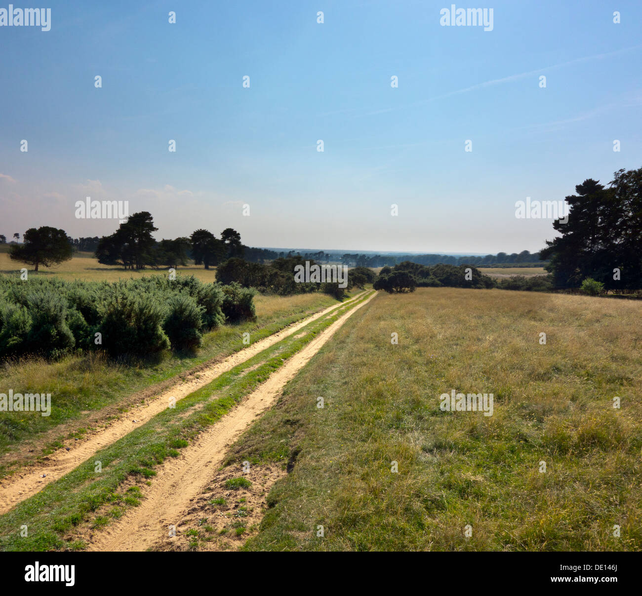 Breckland landscape suffolk Stock Photo - Alamy