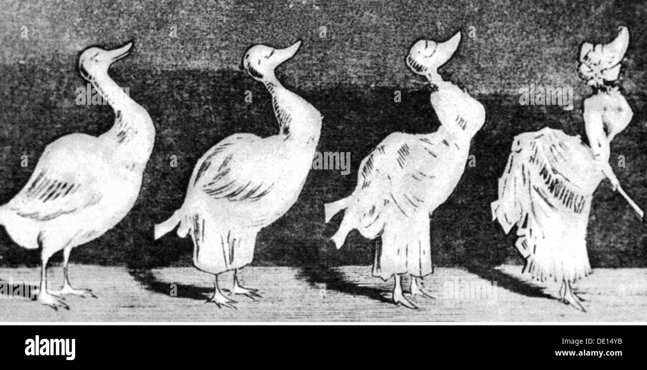 fashion, 19th century, evolution of the bustle, drawing from "Ulk ...