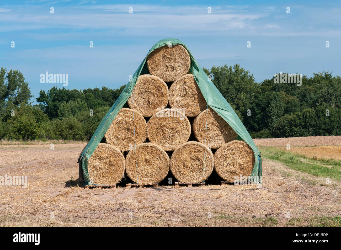 Piles of straw hi-res stock photography and images - Alamy