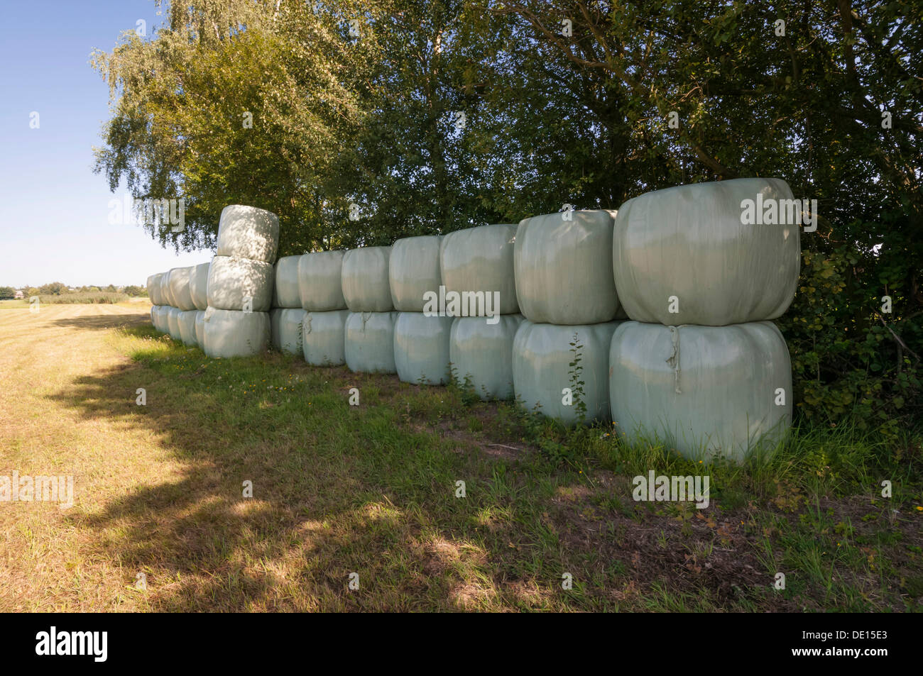 Round bales of silage hi-res stock photography and images - Alamy