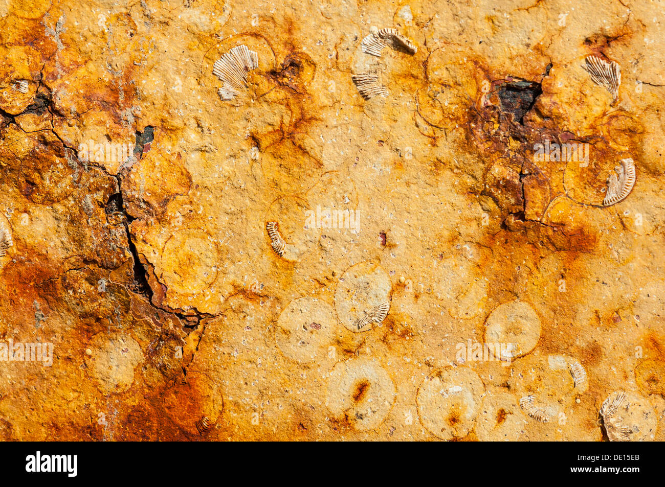 Metal surface with rust and remains of paint, detailed view Stock Photo ...