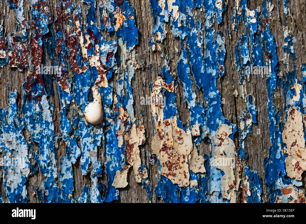 Flakes Of Paint High Resolution Stock Photography and Images - Alamy