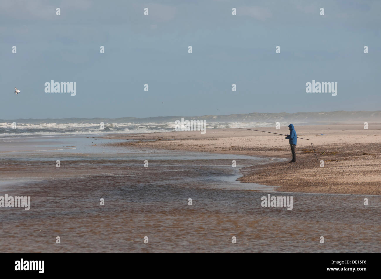 Fish denmark jutland hi-res stock photography and images - Alamy